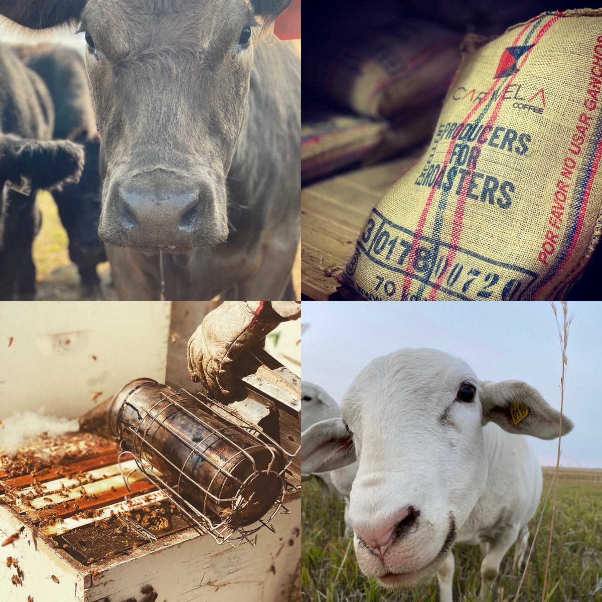 All Products – Ciardullo Ranch