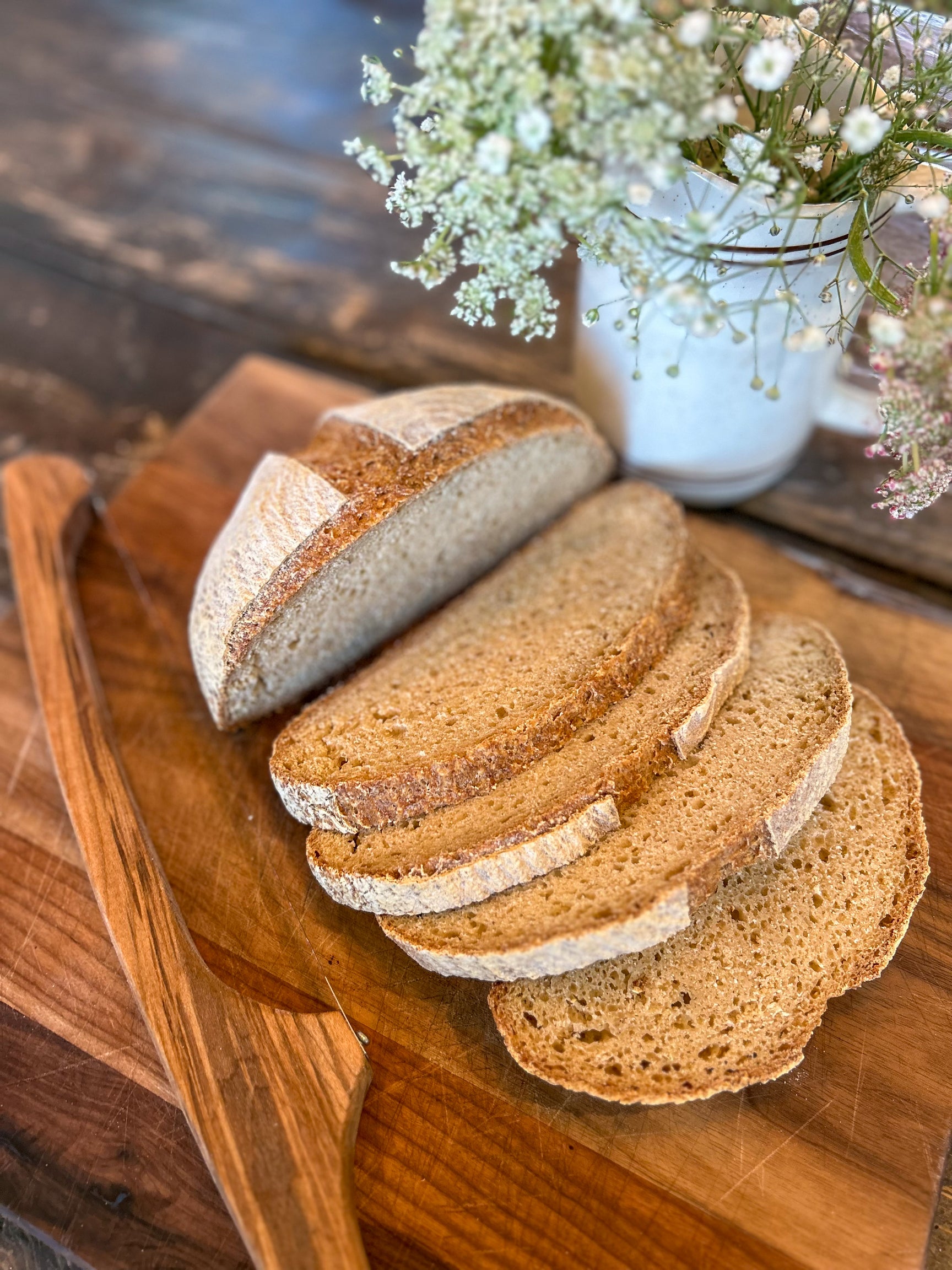 Organic Gluten Free Dehydrated Sourdough Starter – Ciardullo Ranch